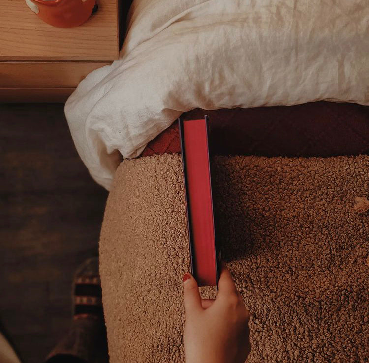 A Marvelous Light (special edition sprayed edges) – foxandwit